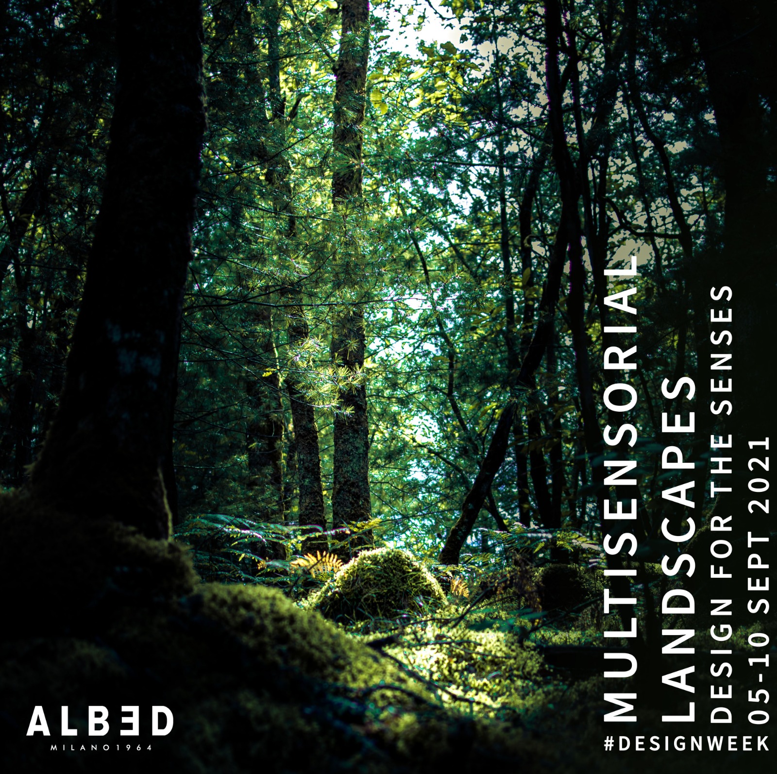 Albed | Non solo porte